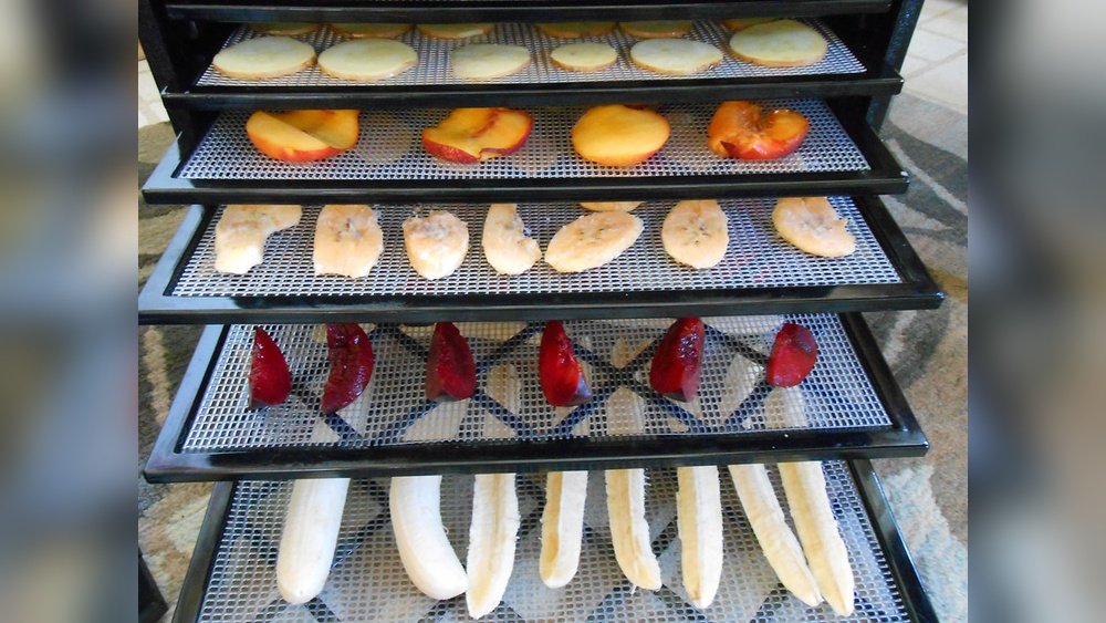 How Often Should You Clean a Food Dehydrator for Best Results